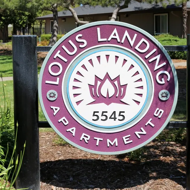 Gallery | Lotus Landing