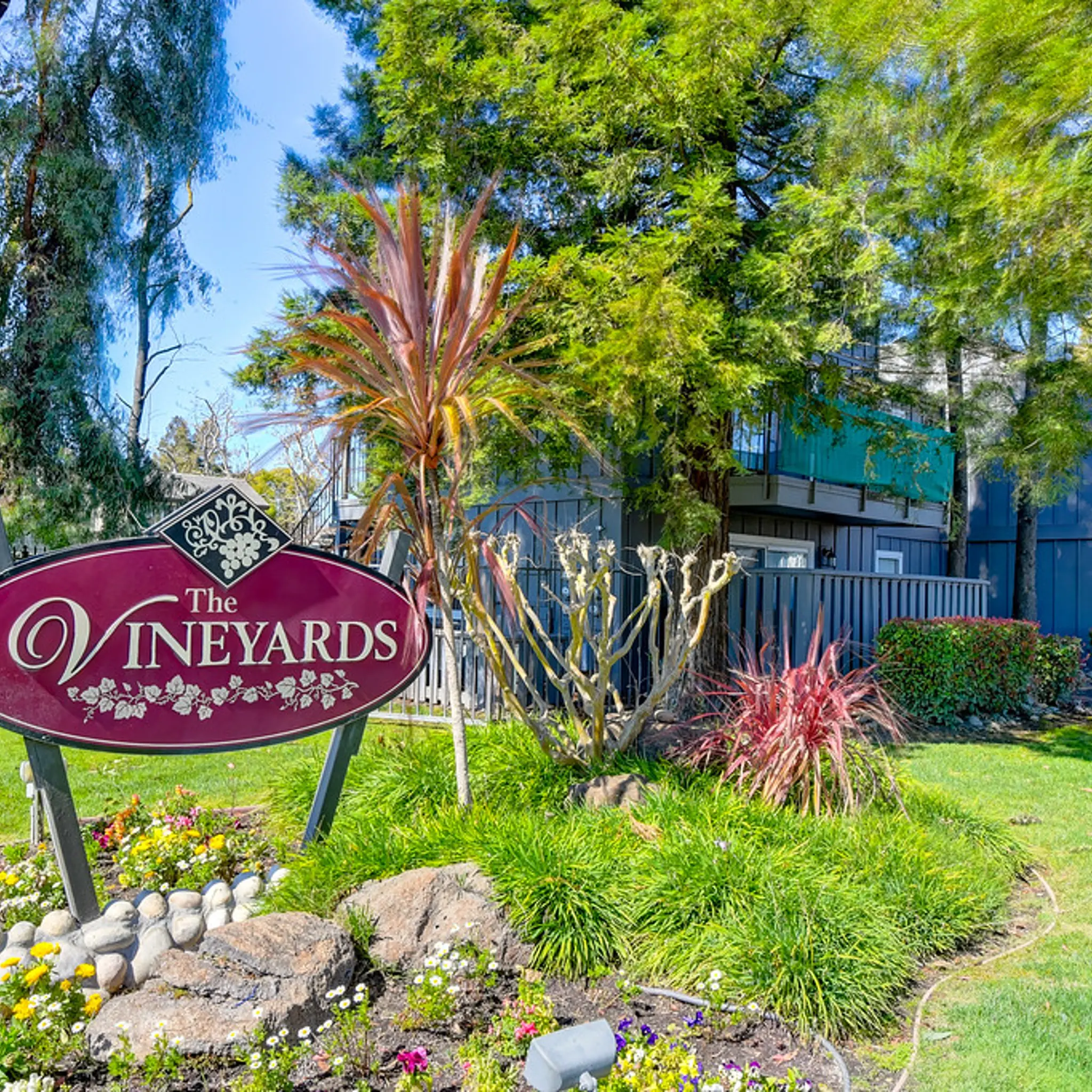 Models | The Vineyards