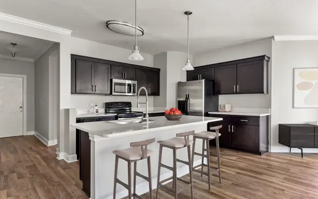 Luxury Jacksonville Apartments for Rent | Citigate