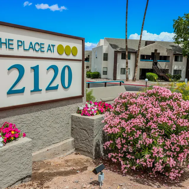 Gallery | The Place at 2120