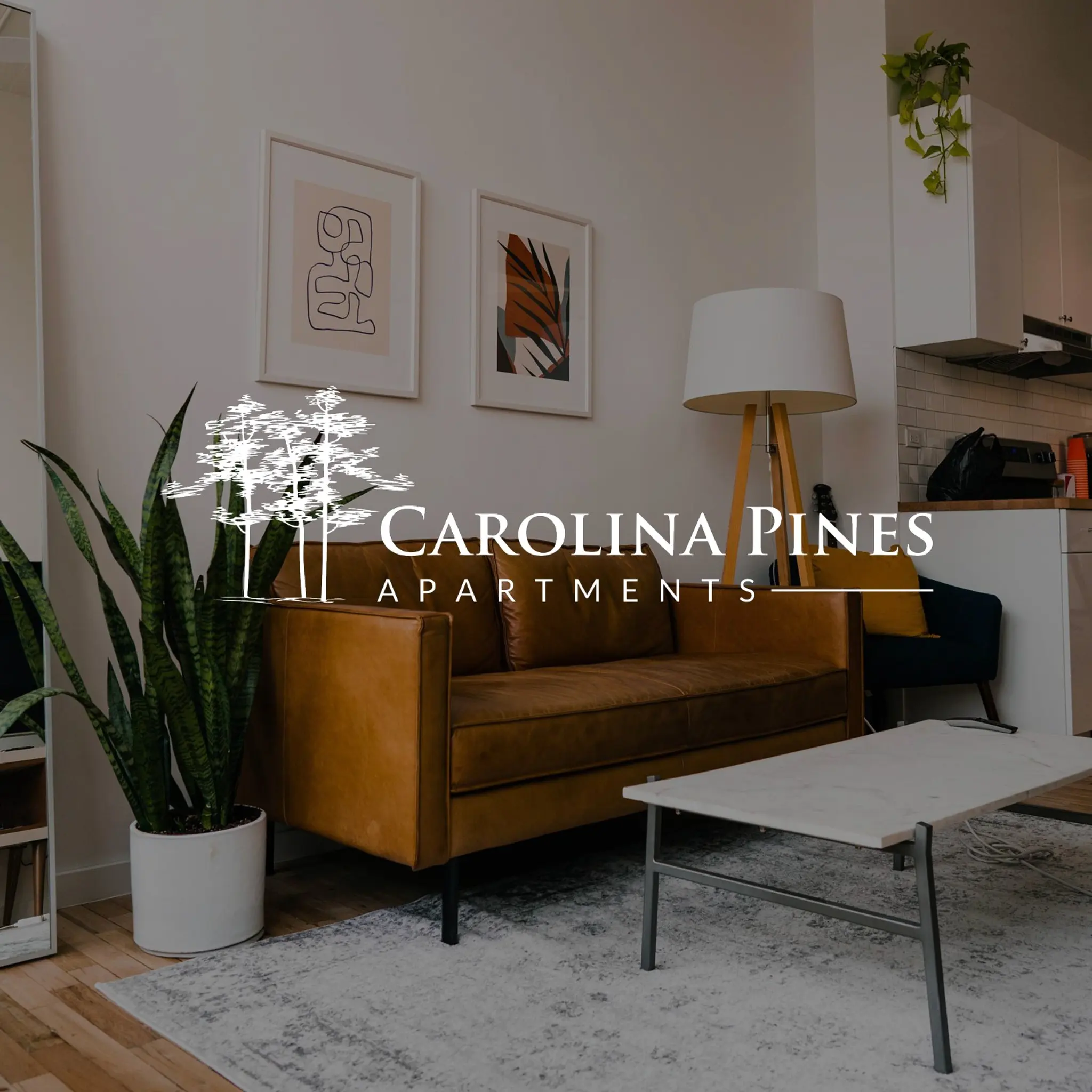 Home | Carolina Pines