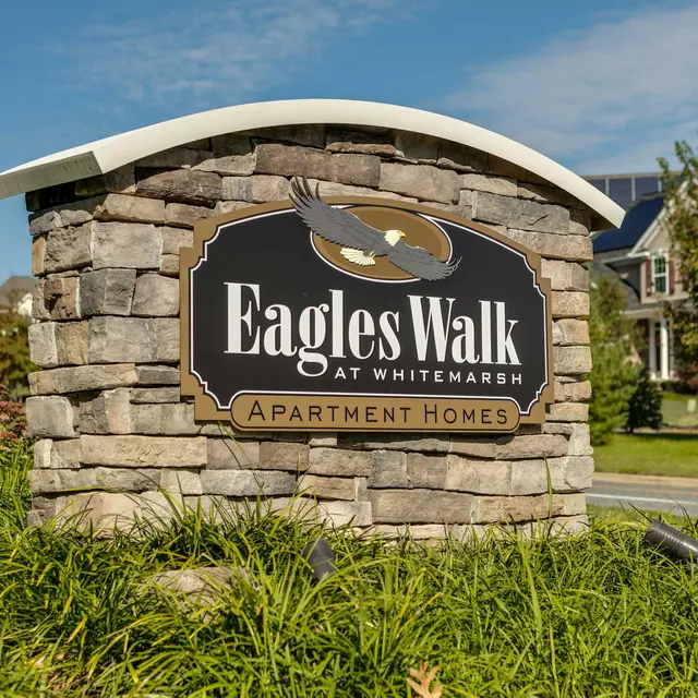 Gallery | Eagles Walk
