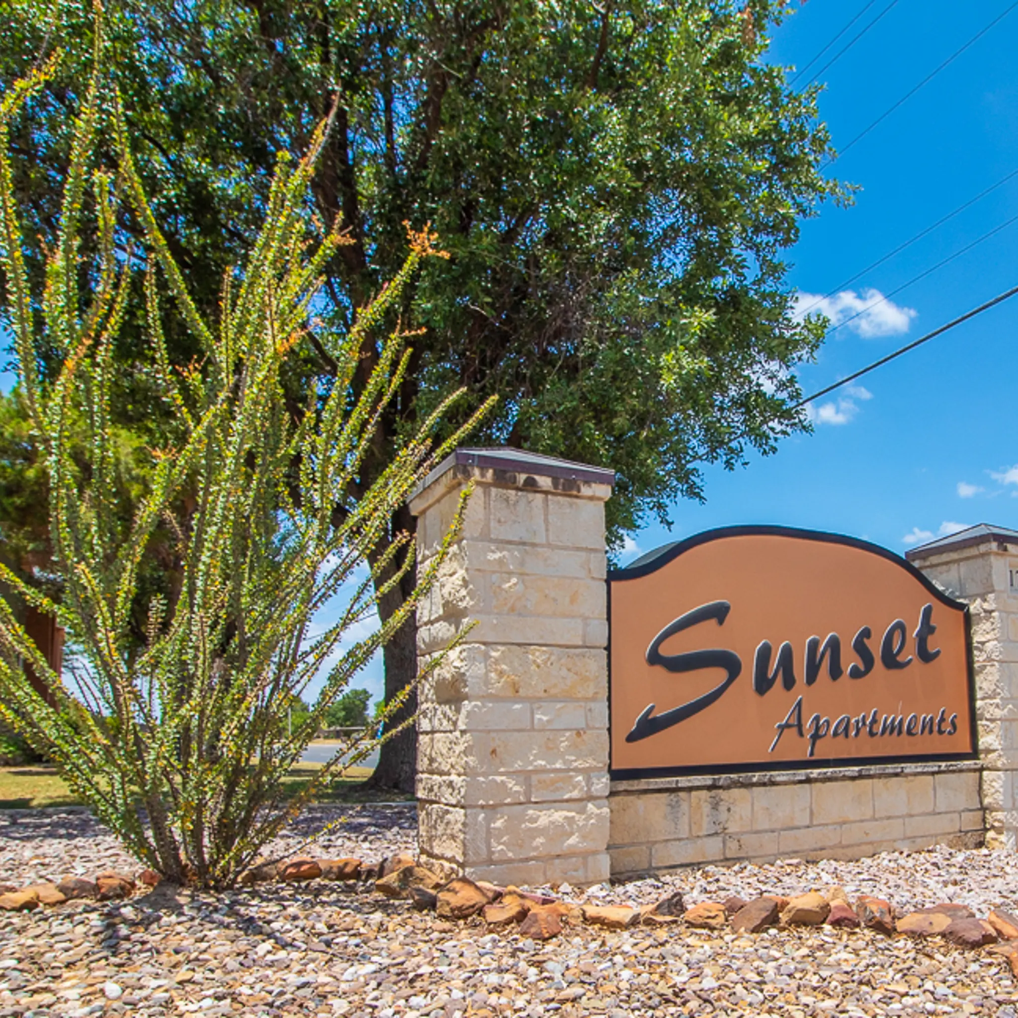 Sunset Apartments | Pet Friendly And Spacious Floorplans