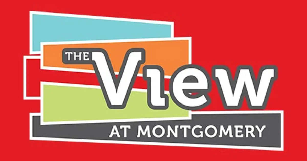 the view abc logo