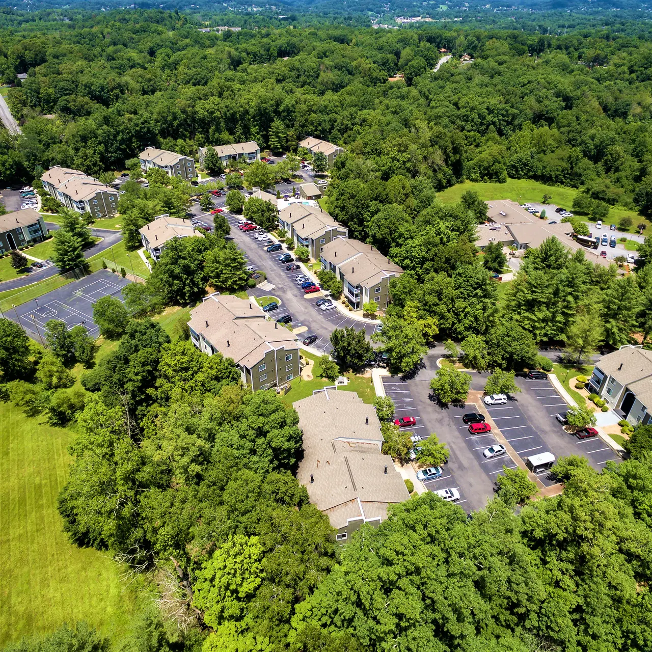 Gallery | Brandy Mill