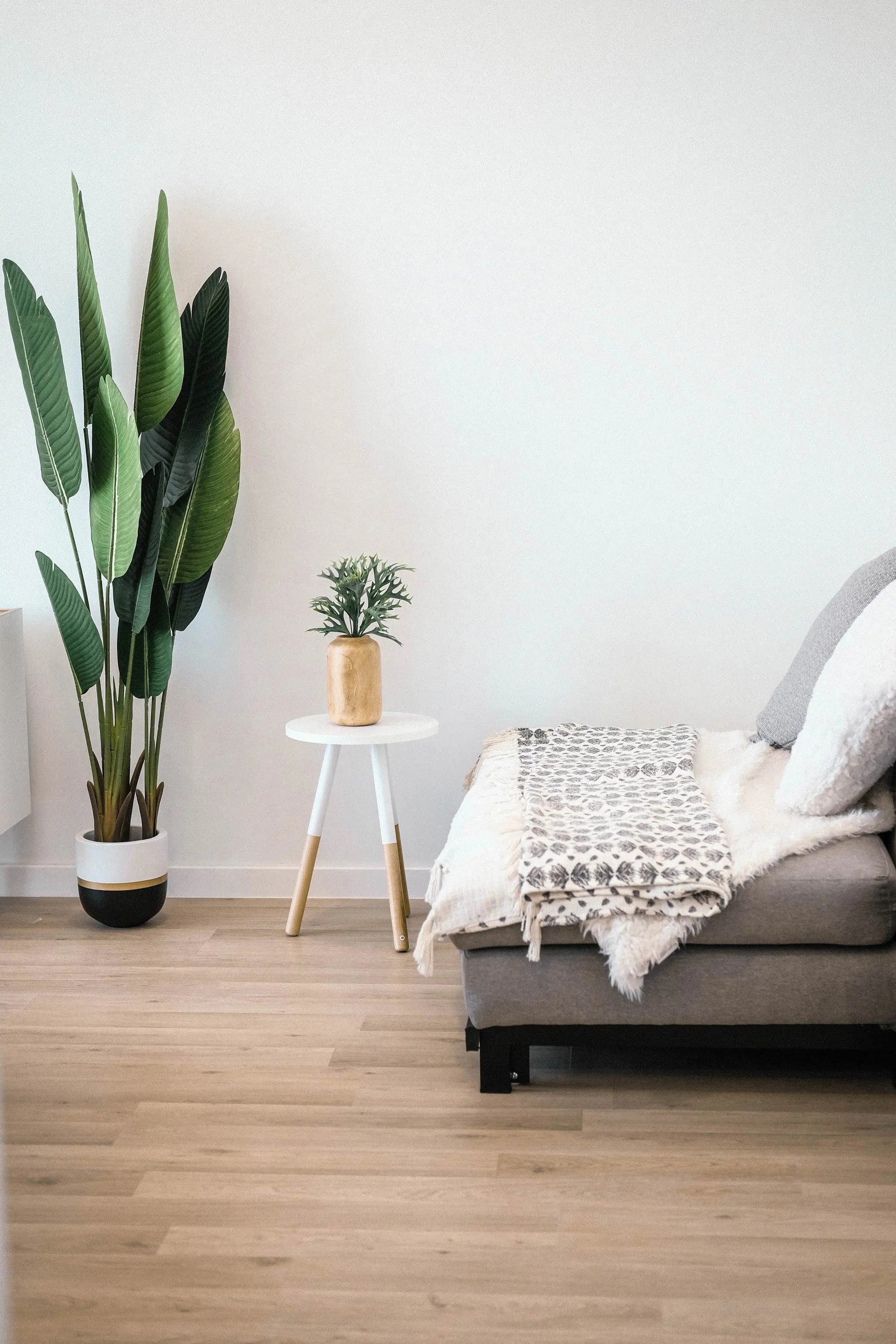 Home | Bellingham Park Apartment Homes