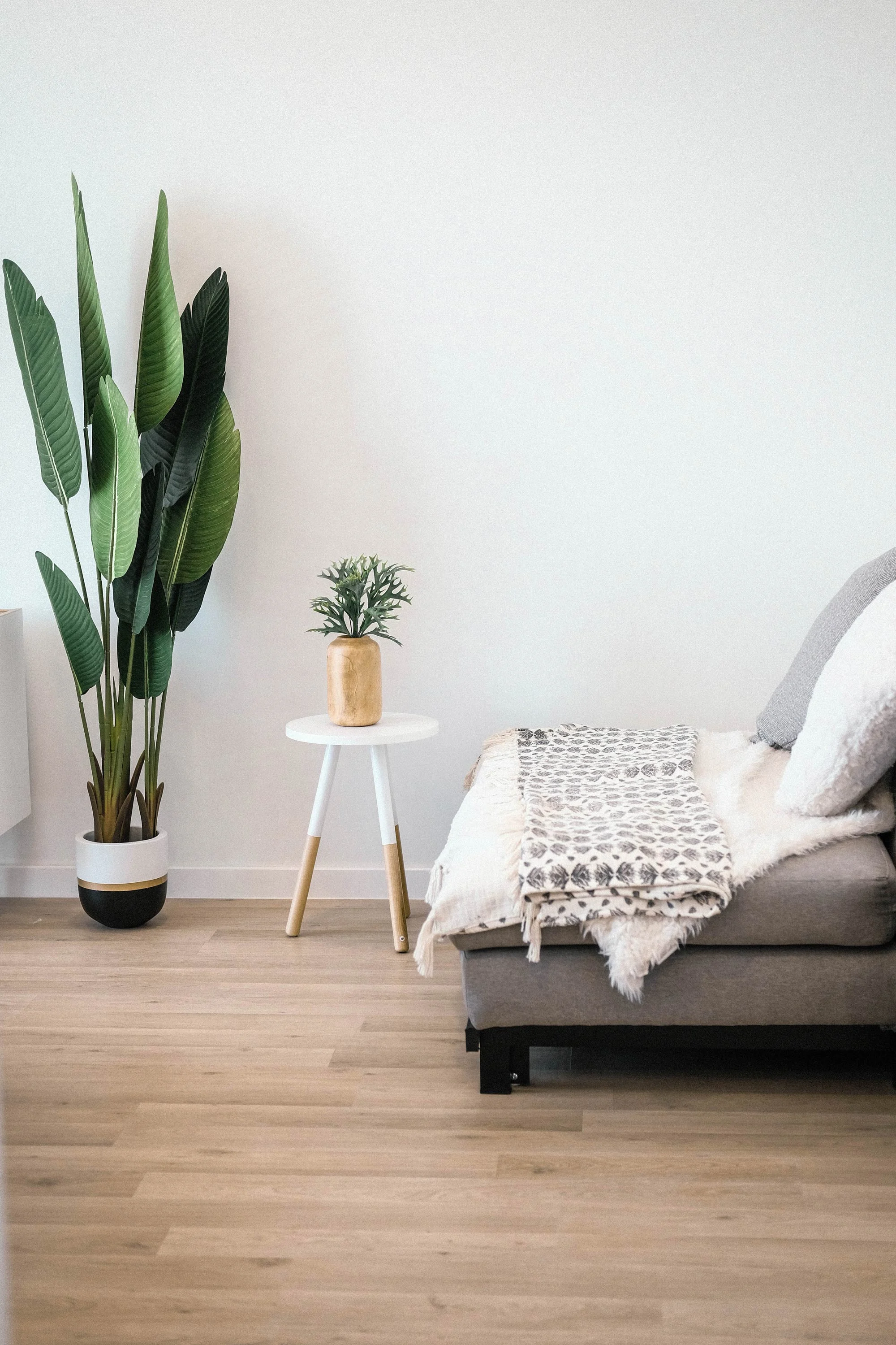 Home | Bellingham Park Apartment Homes